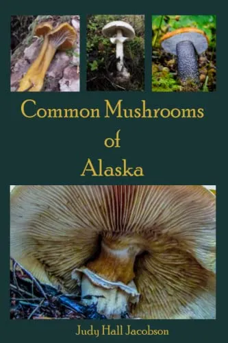 Alaskan Black Fly - Biting Insect Species of Alaska - Alaska Handbook