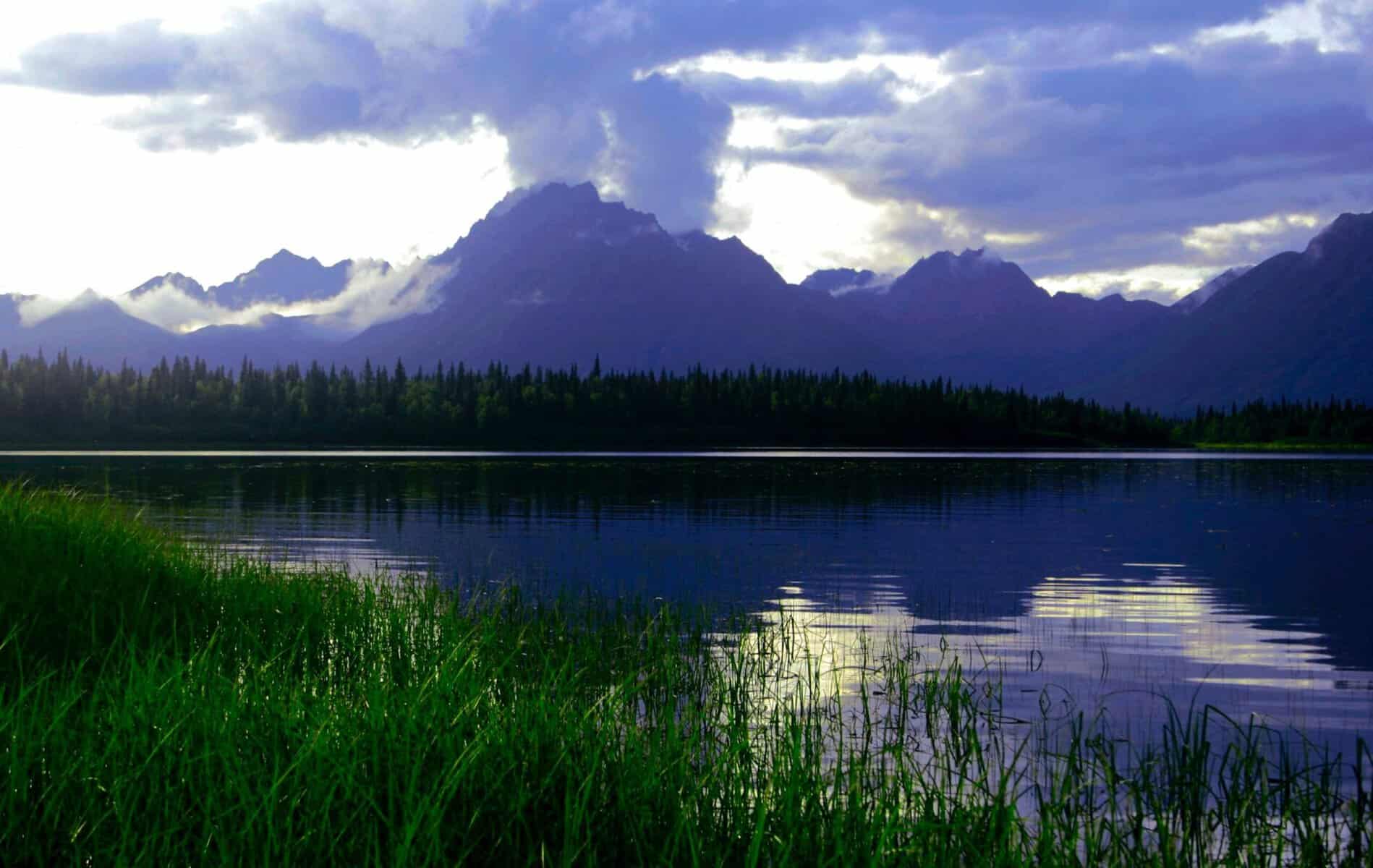 Johnson Lake - lakes - Alaska Handbook